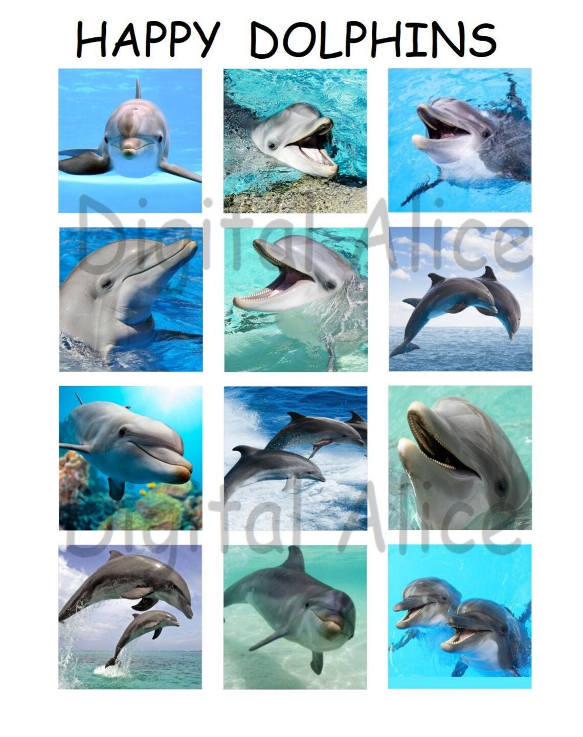 Mighty SHARKS -12 Circles- Shark - Instant Download Printable - 1, 1.5 ...