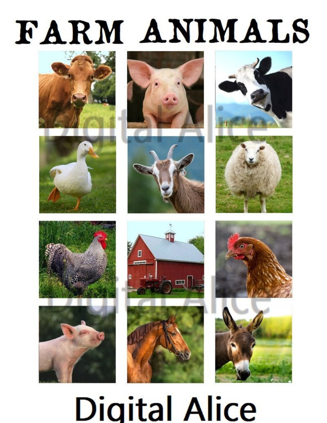 CUTE FARM ANIMALS -12 Squares -cow,pig,sheep,goat,chicken,horse ,donkey ...