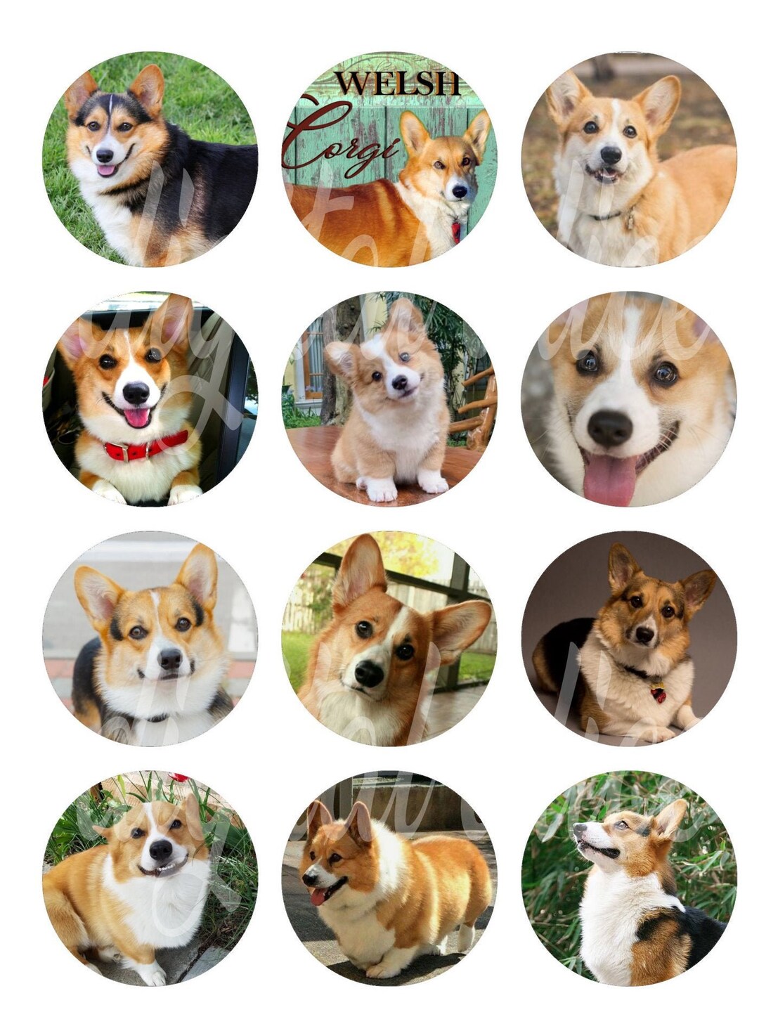 CORGI DOG Craft Circles Welsh Corgi Dog Puppy Instant Download Digital ...