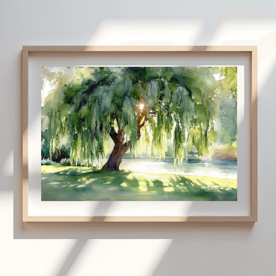 Green Weeping Willow Tree Watercolor-giclée Paper Print, Gallery ...