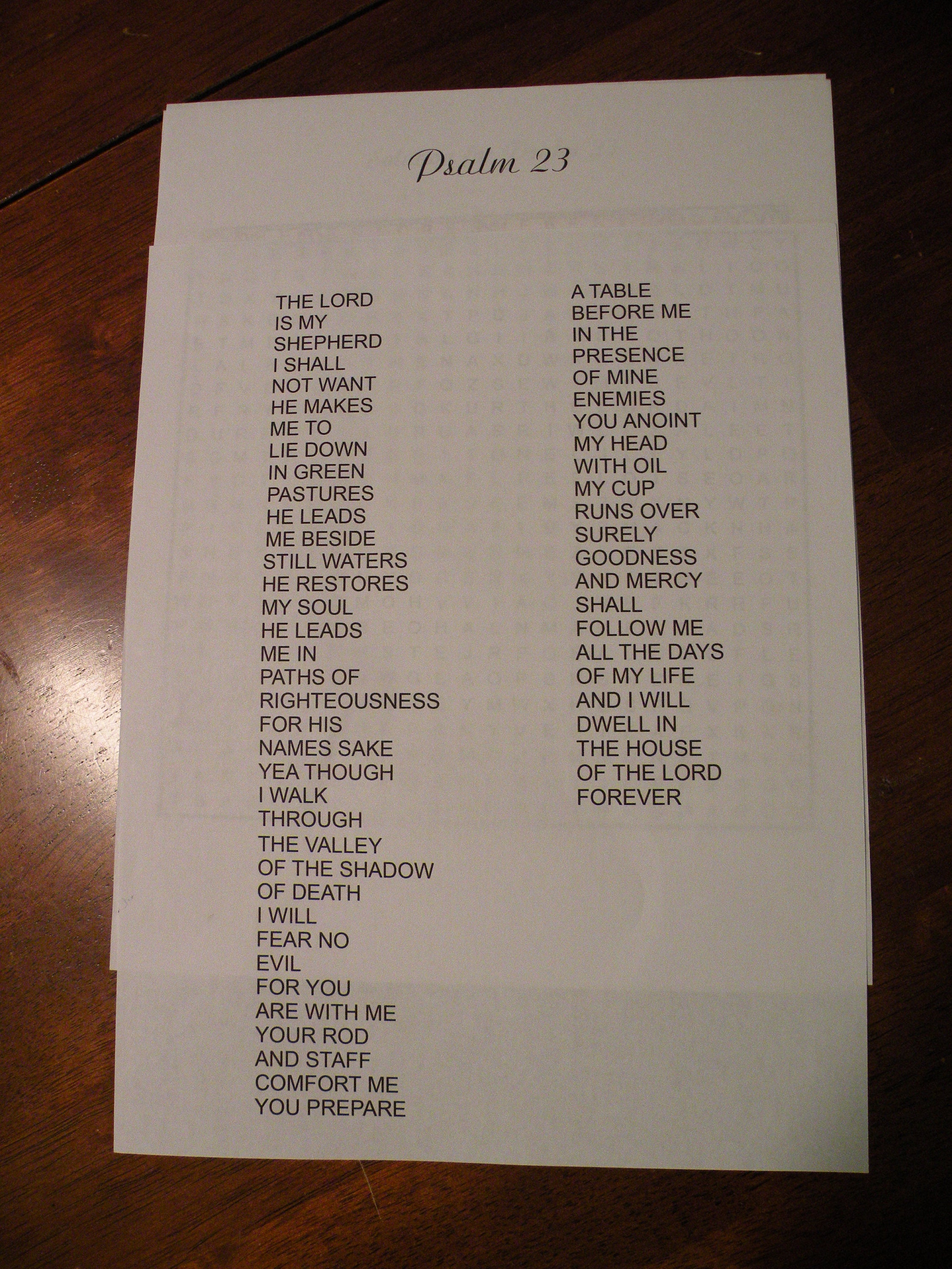 Psalm 23 Printable Puzzle Search & Learn: Bible Verse Word Search - Etsy