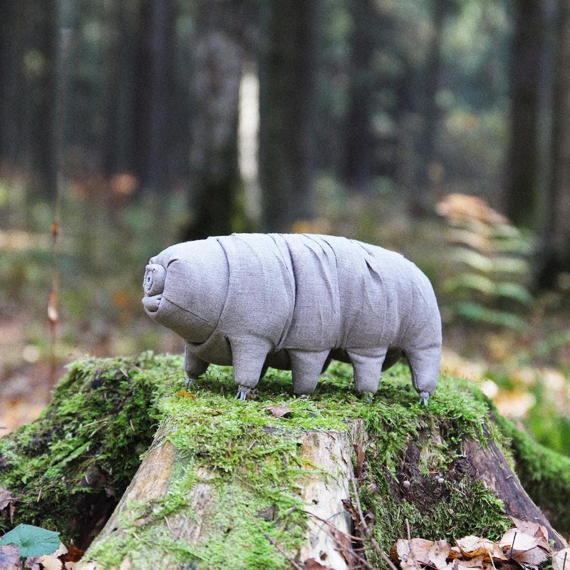 Weird Stuffed Animal - Etsy