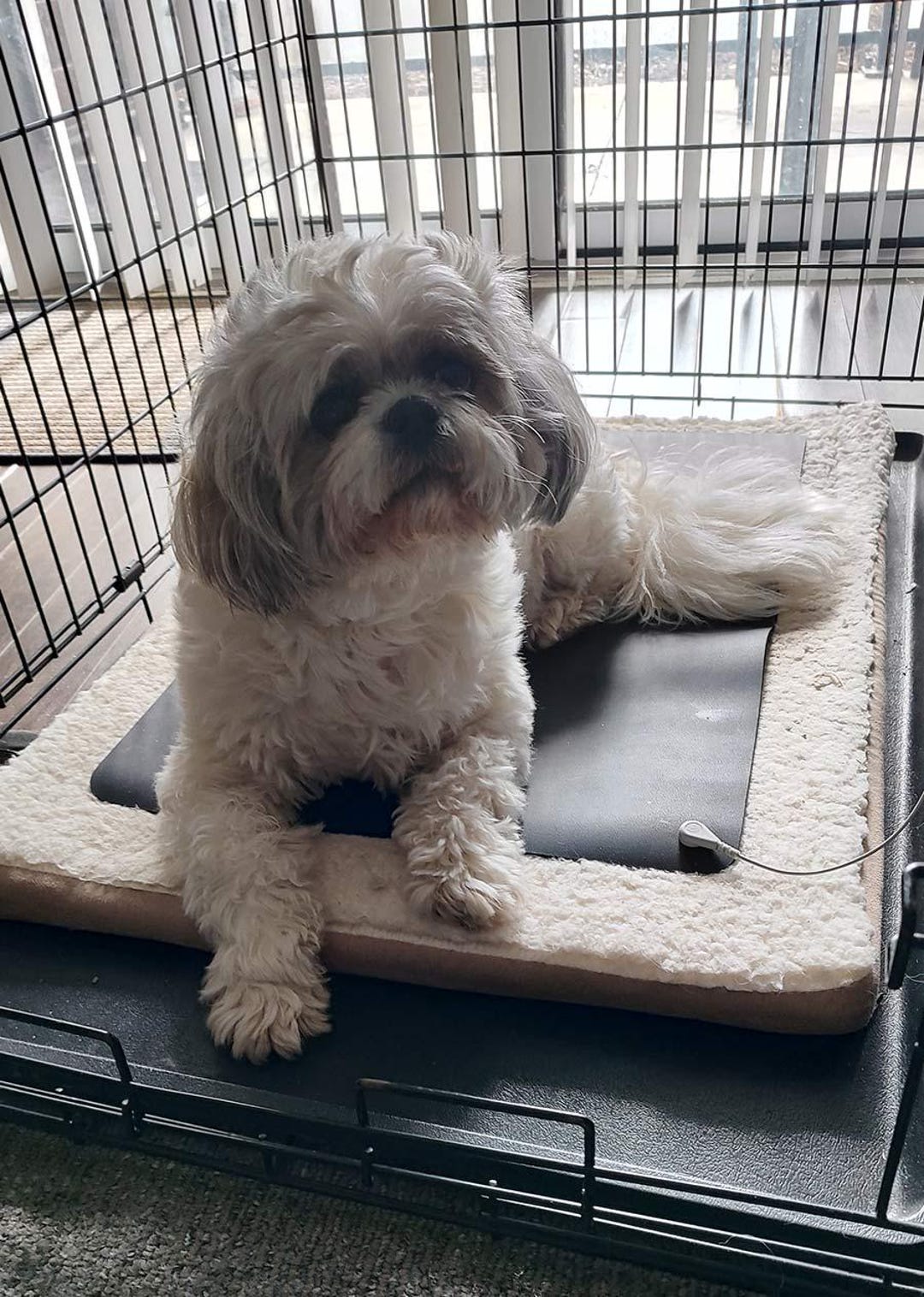 Earthing Grounding Mat That is Safe for Pets. Helps Reduce Stress and ...
