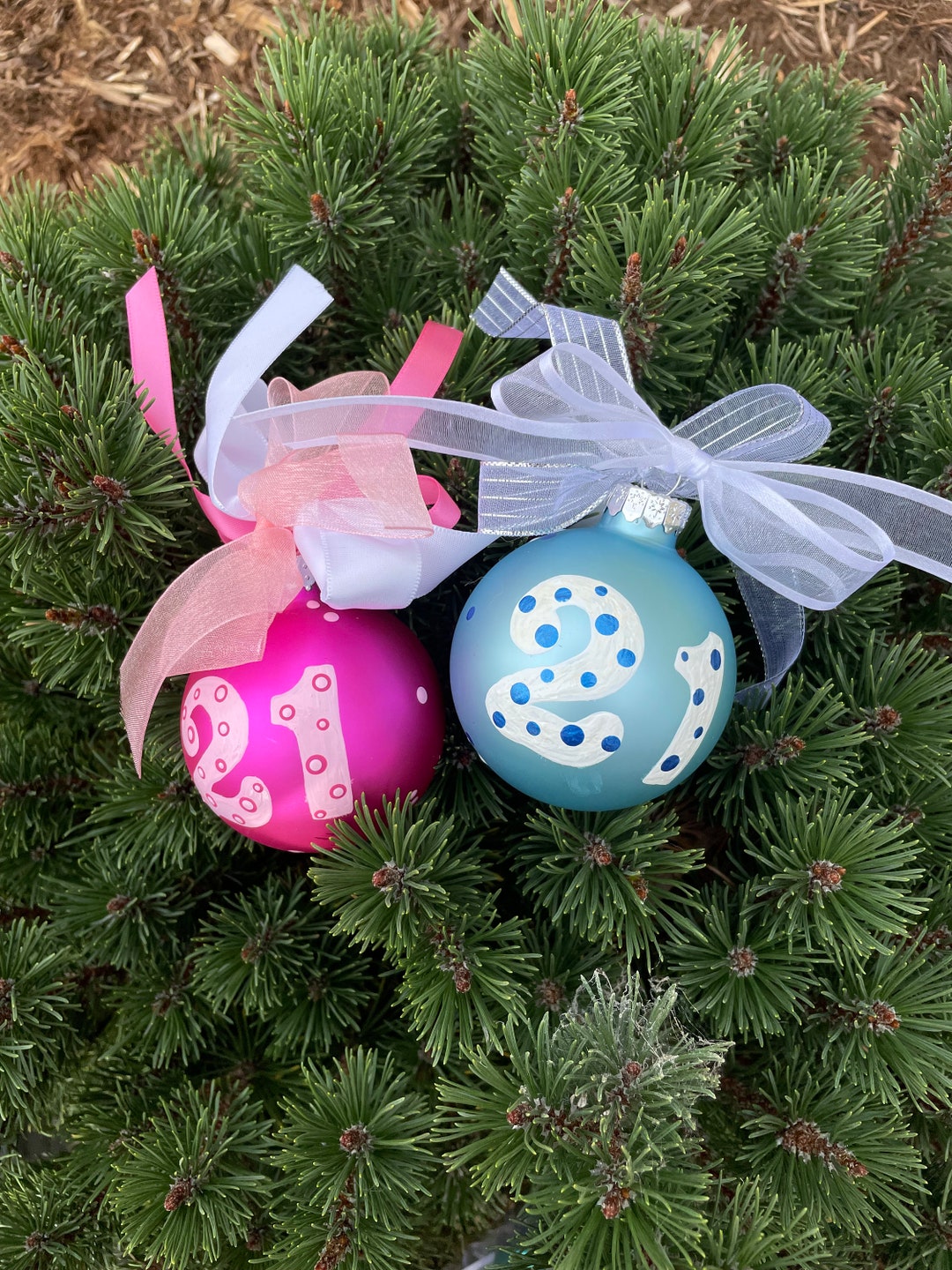 Turning 21 Birthday Ornament Hand Painted Personalized Glass Christmas ...