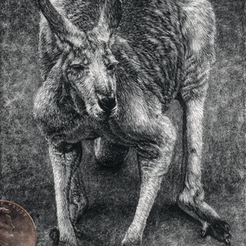 Scratchboard Art - Etsy