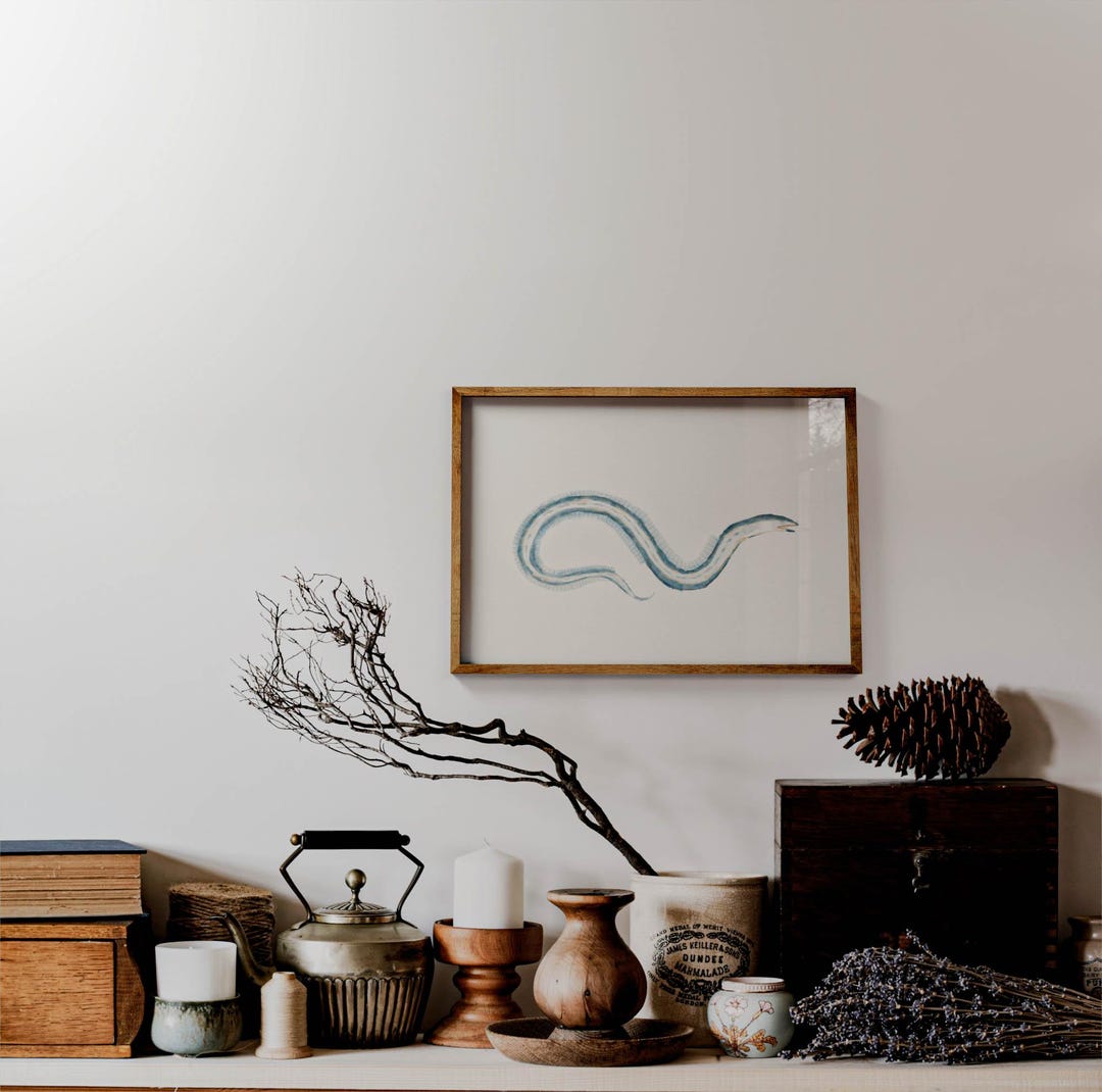 Eel Watercolor Print – Coastal Wall Art | Beach House Decor | Sea Life ...