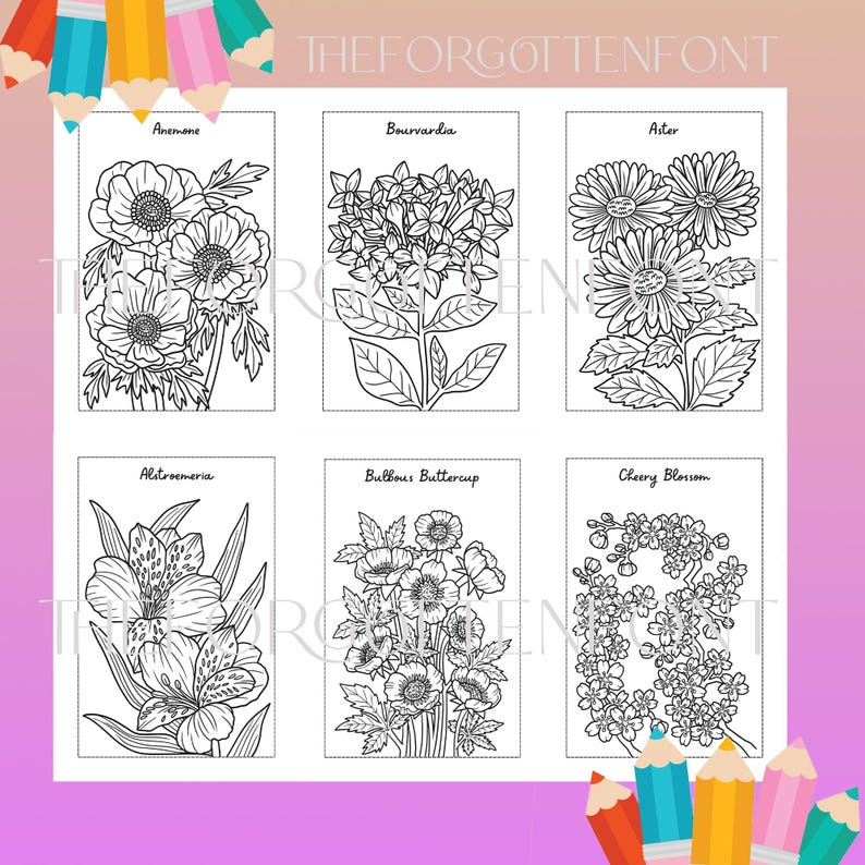 47 Easy Flower Coloring Pages for Adults and Kids | Printable Fun Art ...
