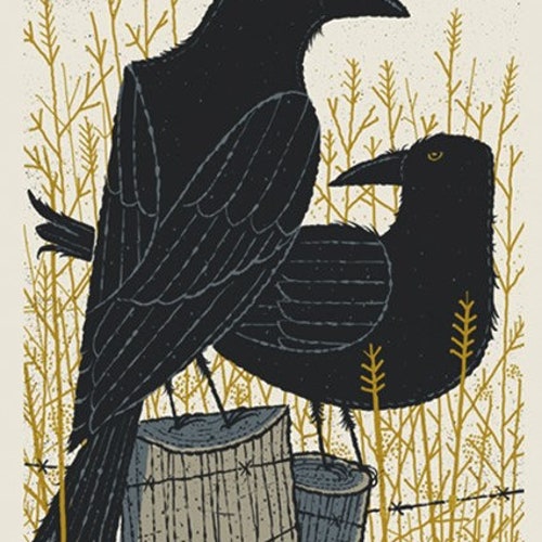 Two Crows Home Decor Wall Art Bird Lovers Bird Art - Etsy
