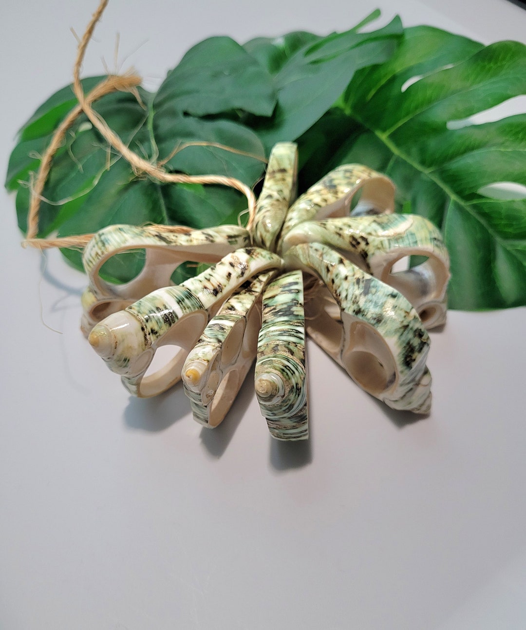 Vintage Seashell Napkin Rings Set of 8 Mother of Pearl Conch Shell ...