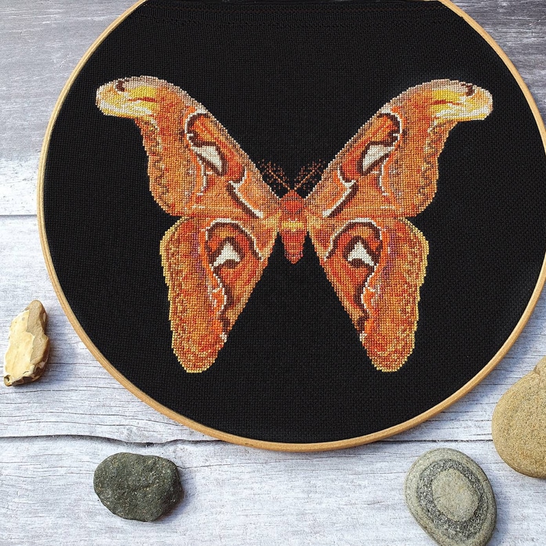 Atlas Moth Cross Stitch Pattern PDF Modern Cross Stitch - Etsy