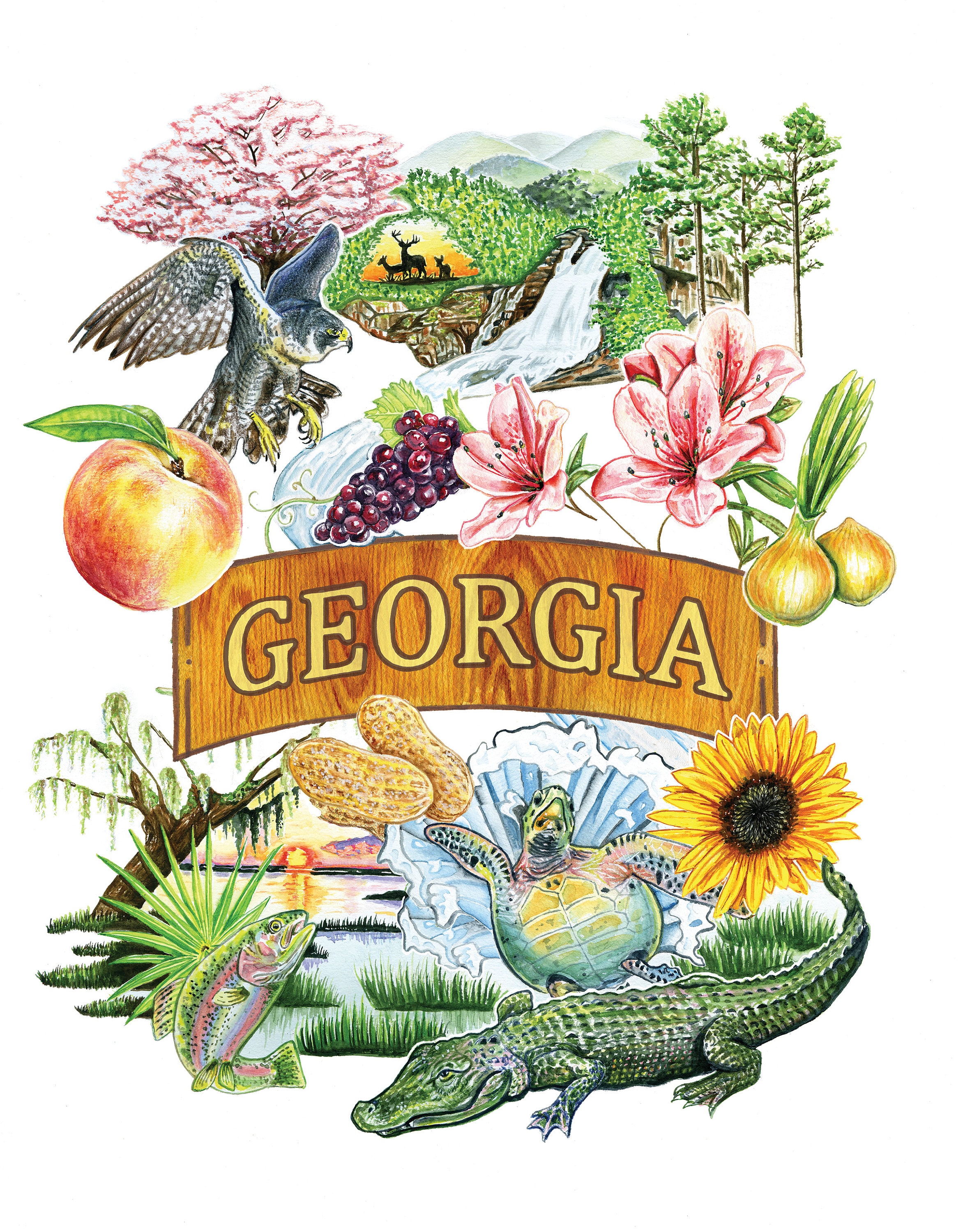 Georgia Animals And Plants