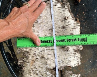 Large White Birch Bark Piece, Natural Birch, Bark, Approx Size 9 X 11 ...