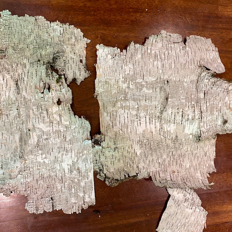Birch Bark Sheets - Etsy