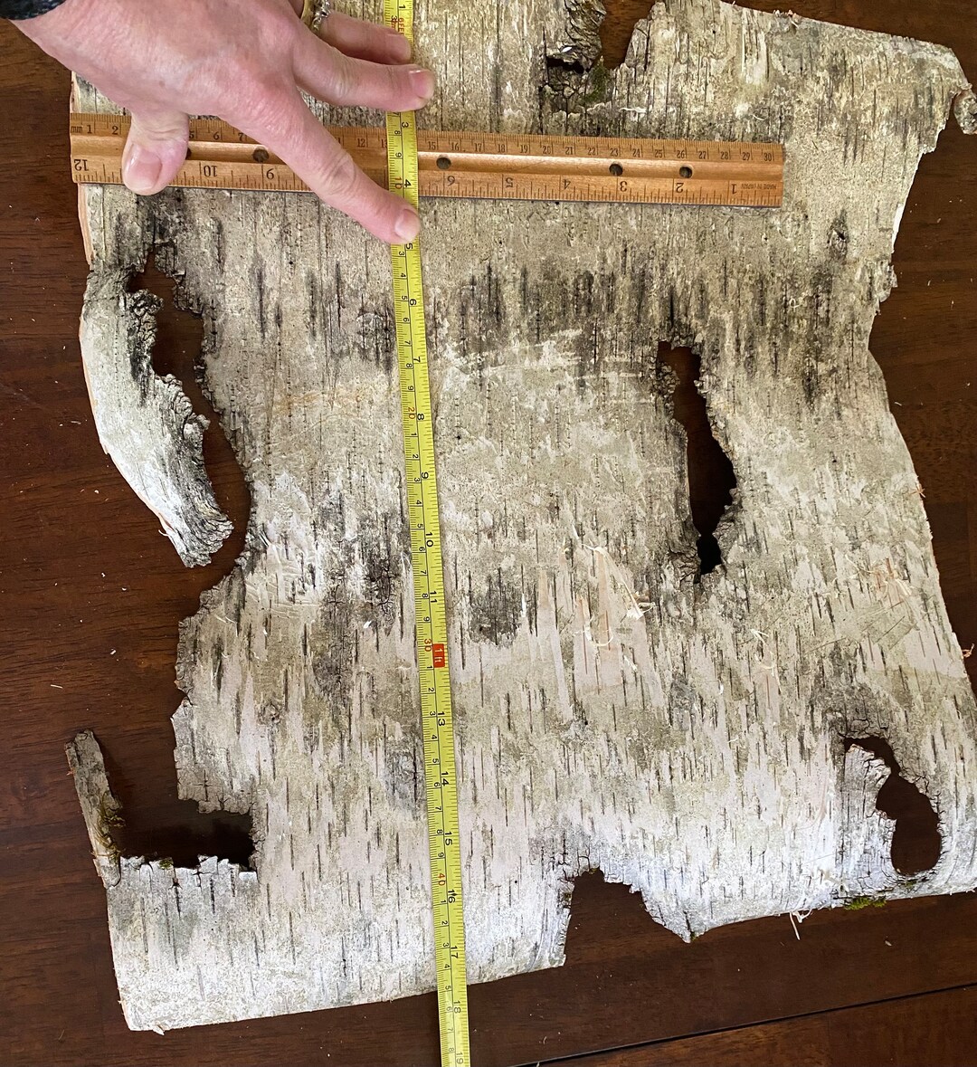 Real Large Birch Bark Sheet, Natural Birch, Bark, 12 X 18 Approx Size ...