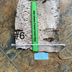 10 X 12 Approx All Natural White Birch Bark Sheet, Natural Birch, Bark ...