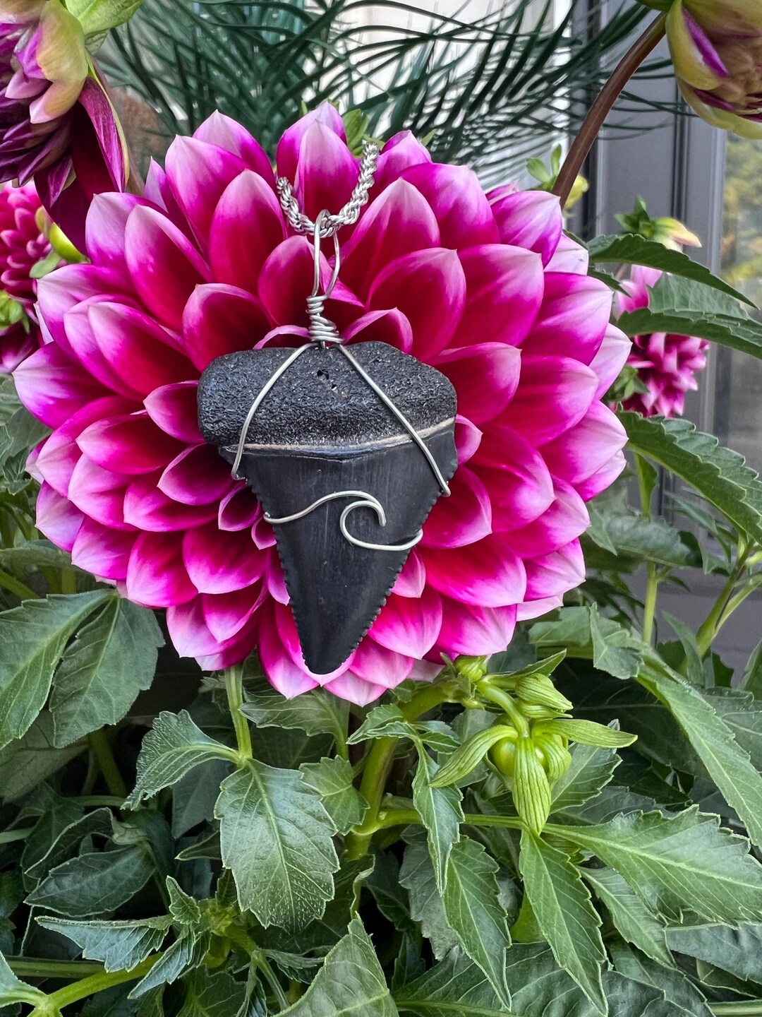 Great White “wave” Shark Tooth Necklace - Etsy