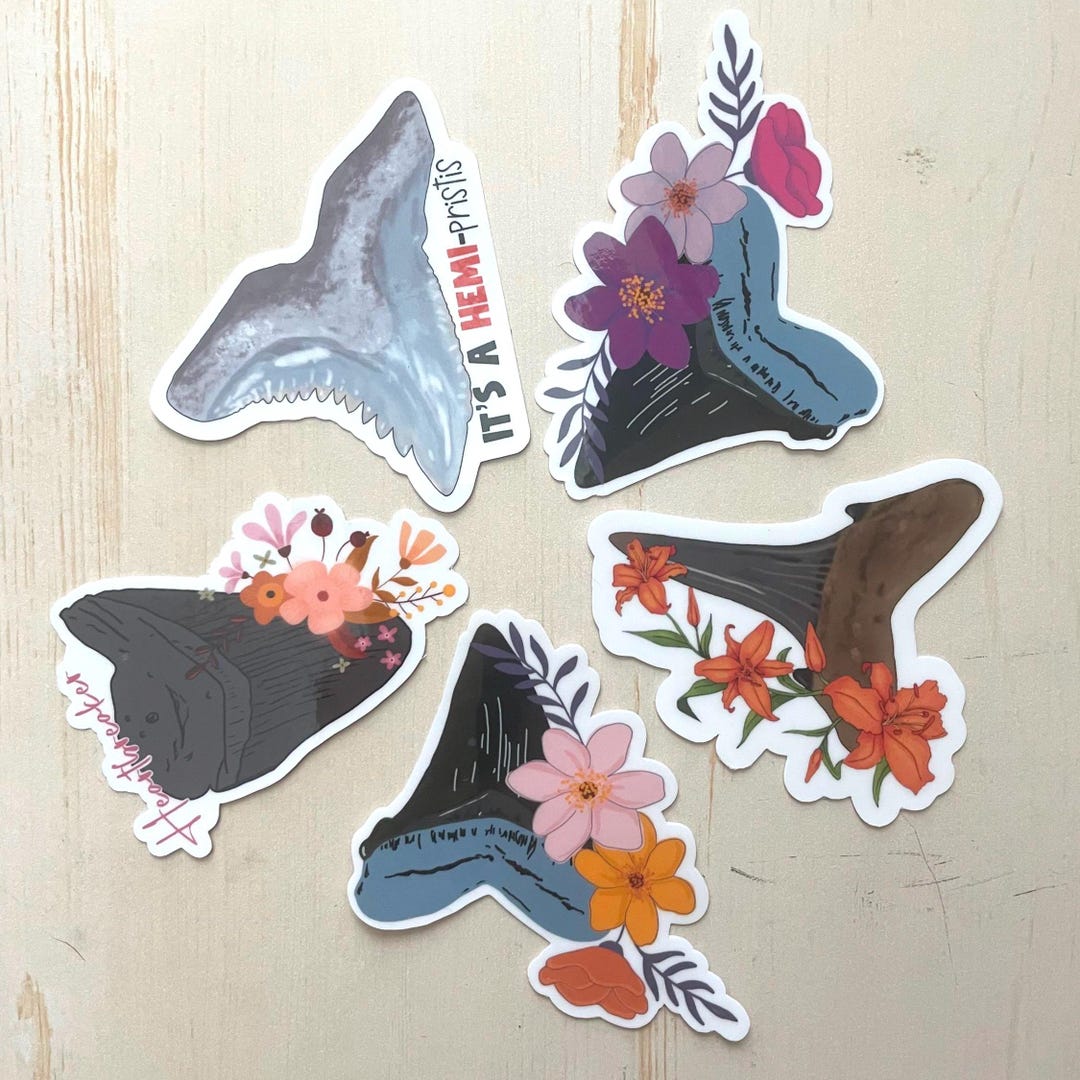 Shark Tooth Sticker - Etsy