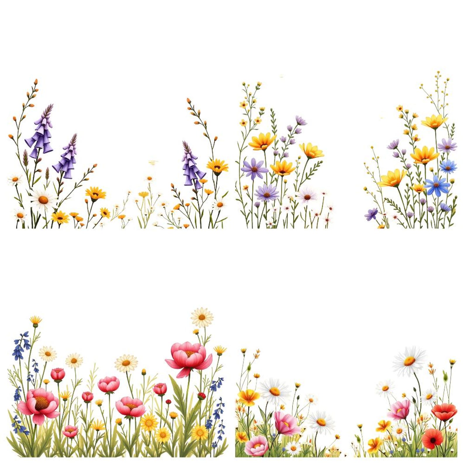 Watercolor Wildflower Clipart: Spring Floral Borders (20 PNG Digital ...