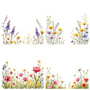 Watercolor Wildflower Clipart: Spring Floral Borders (20 PNG Digital ...