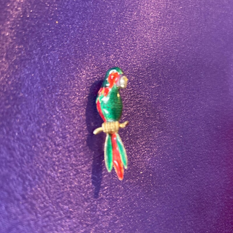 Parrot Pins - Etsy