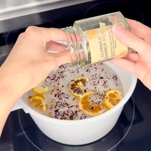 Summer Simmer Pot - Etsy