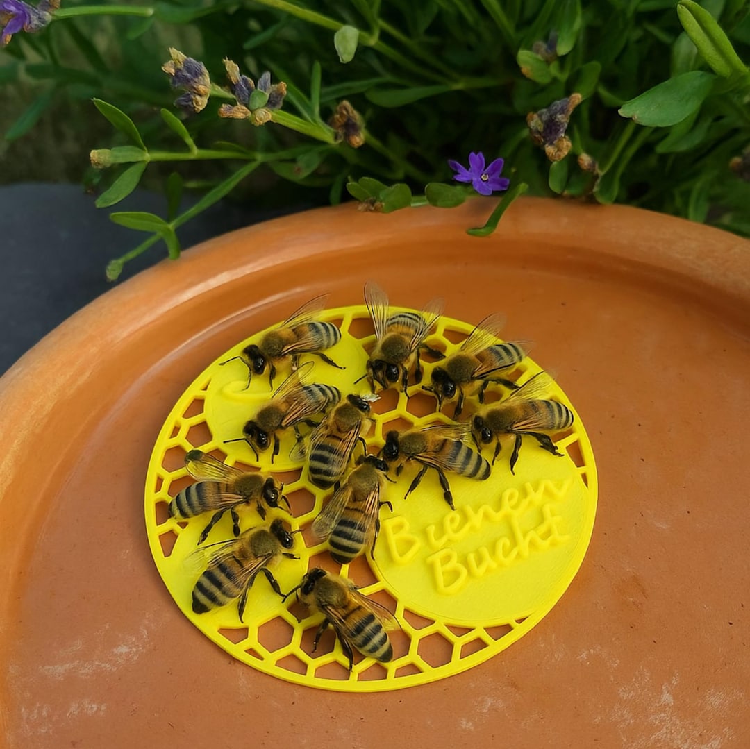 Bee Bay Insect Waterer: the Life Raft for Thirsty Insects - Etsy
