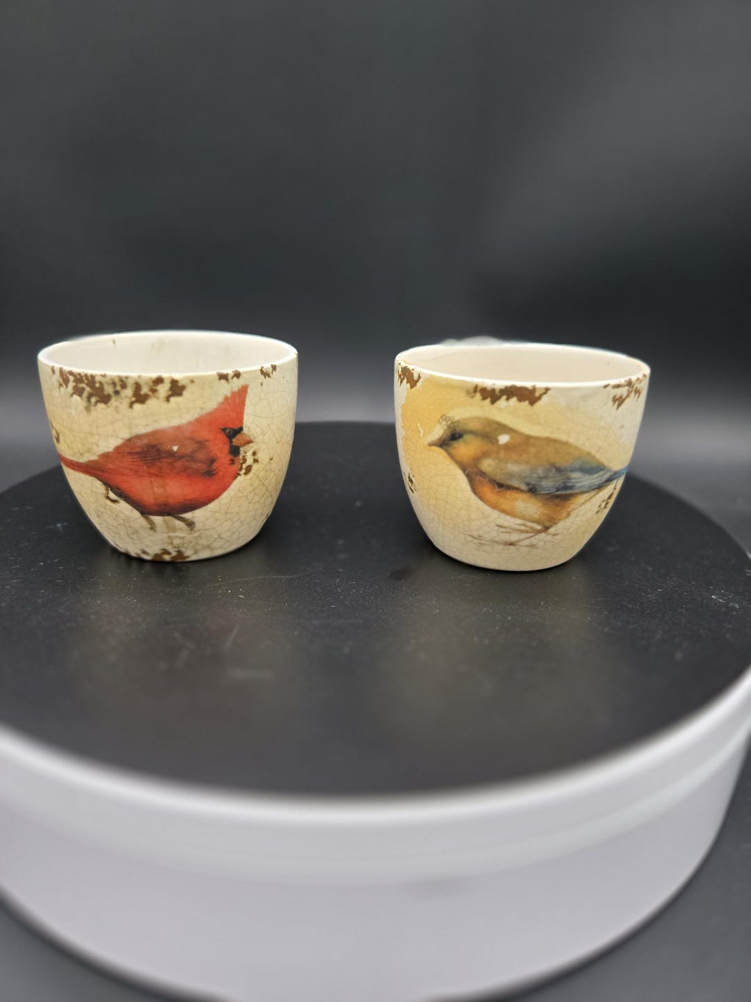 Tim Coffey Creative Co-op Bird Cups – Set of 2 Decorative Crackle Glaze ...
