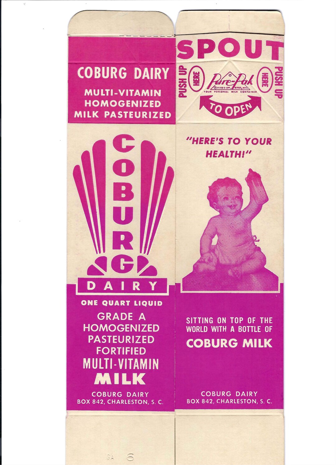Vintage Box COBURG DAIRY Homogenized Pasteurized Milk Carton Charleston ...
