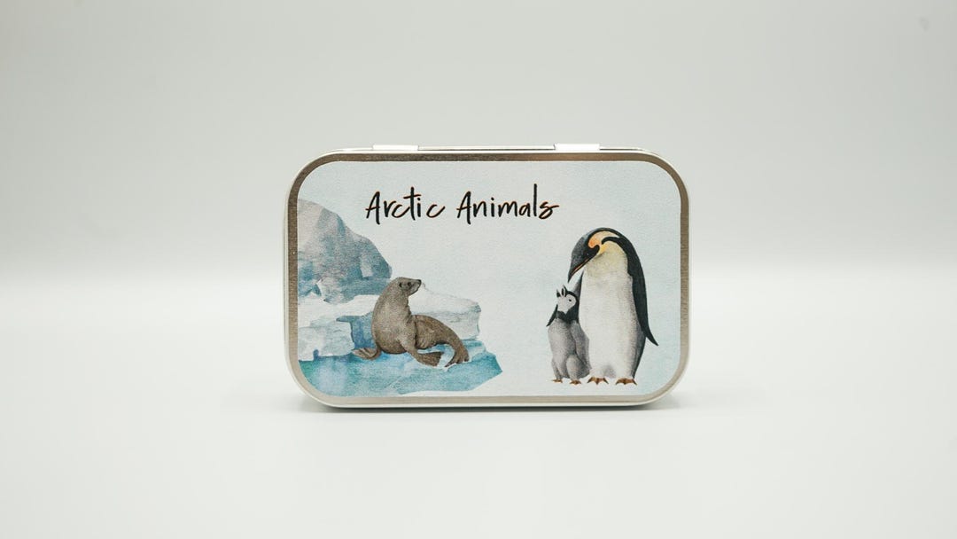 Mini Magnetic Arctic Tin: Travel, Busy, Quiet Toys for Kids (set of 8 ...