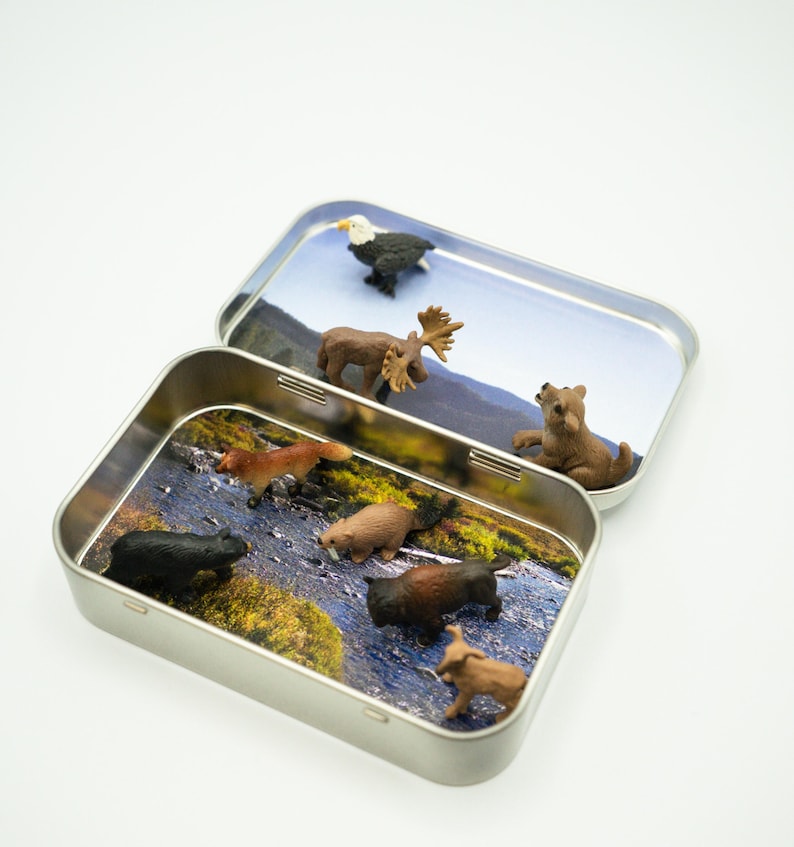 Mini Magnetic Wilderness Animals Tin: Vacation Busy Car Toys (set of 8 ...
