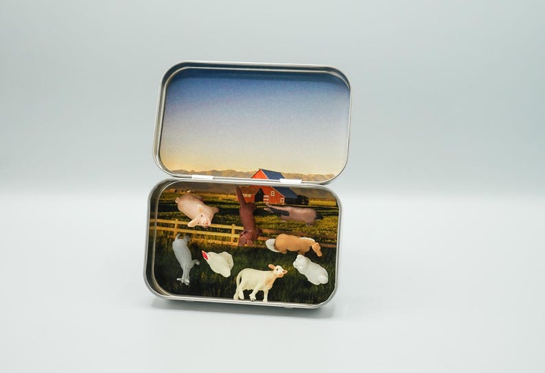 Mini Magnetic Animal Tin (ranch) Vacation, Busy, Church Toys (set of 8 ...