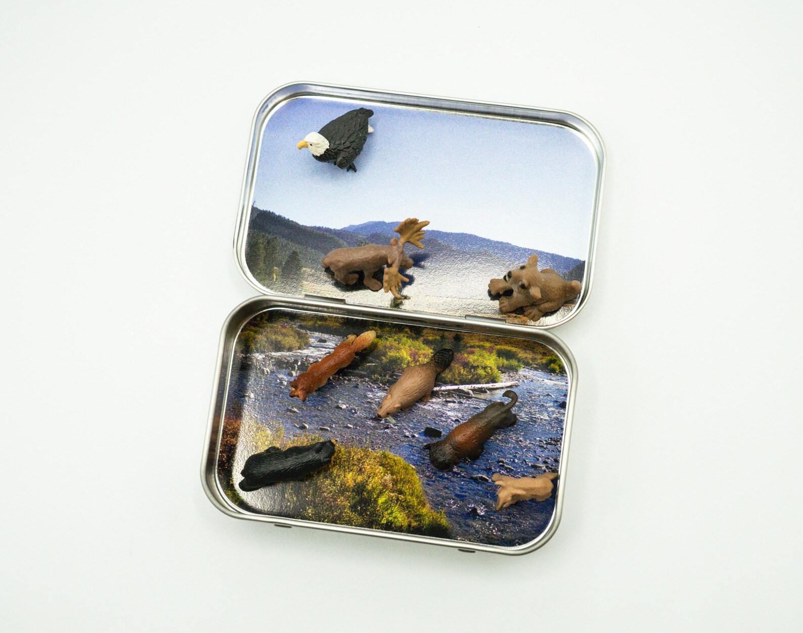 Mini Magnetic Wilderness Animals Tin: Vacation Busy Car Toys (set of 8 ...