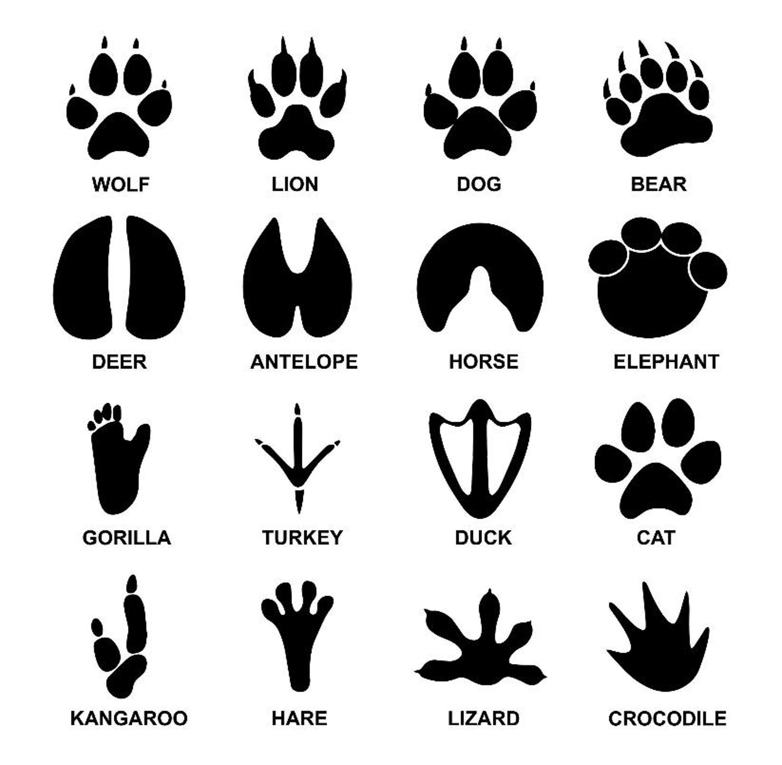 Animal Tracks SVG, Silhouette, Cricut, Animal Footprints Clipart ...