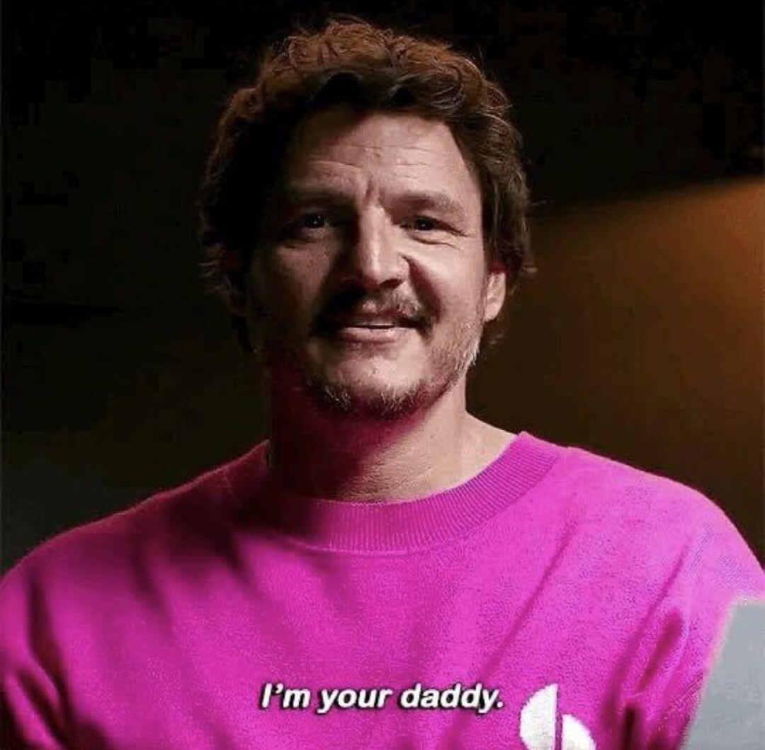 Pedro Pascal Memes Sticker Sheets, Die Cut Stickers, Fan Merch, Pop ...