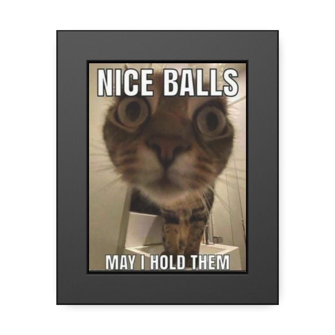 Framed Paper Poster, Nice Balls Meme Wall Art, Cat Meme, Funny Bathroom ...
