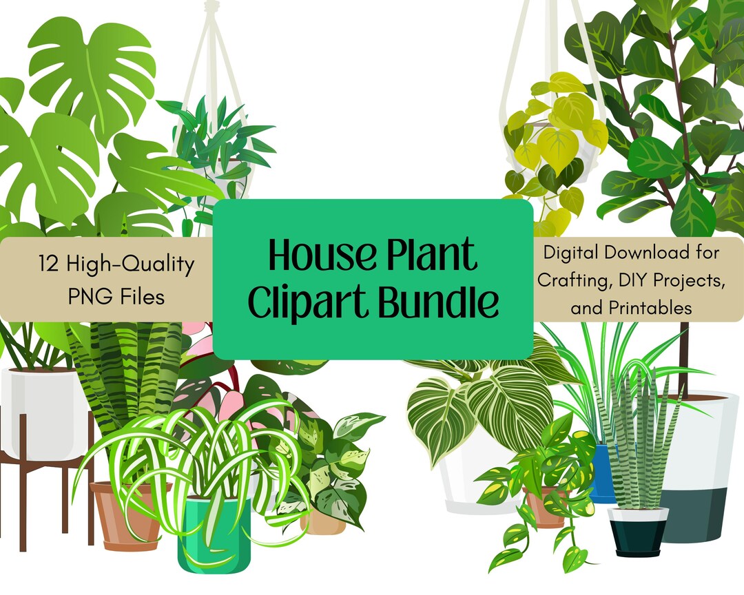House Plant PNG Clipart Bundle: Botanical Illustrations (digital ...
