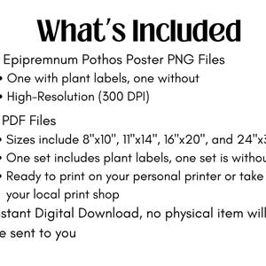 Pothos Plant Varieties Poster: Printable Botanical Wall Art (PNG and ...