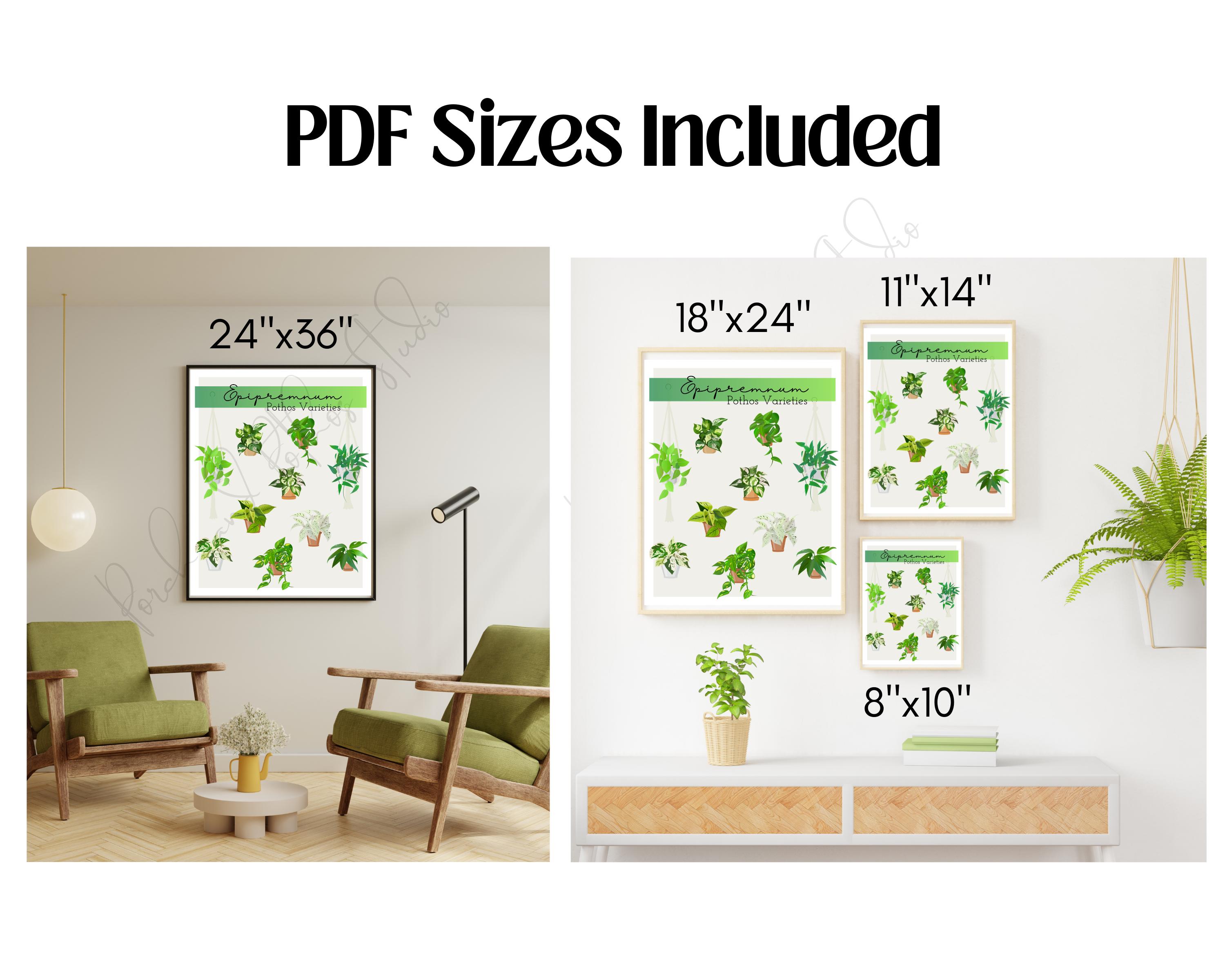 Pothos Plant Varieties Poster: Printable Botanical Wall Art (PNG and ...