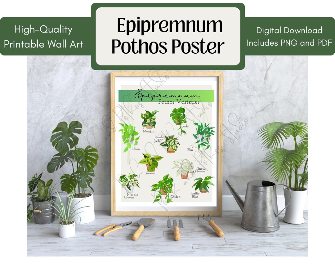 Pothos Plant Variety Poster | Printable Plant Wall Art | Botanical Art ...