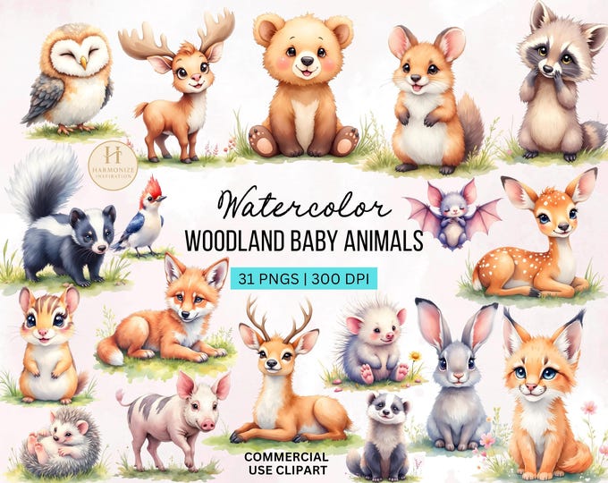 Woodland Animals Clipart Bundle: Nursery Art Png(digital Download ...