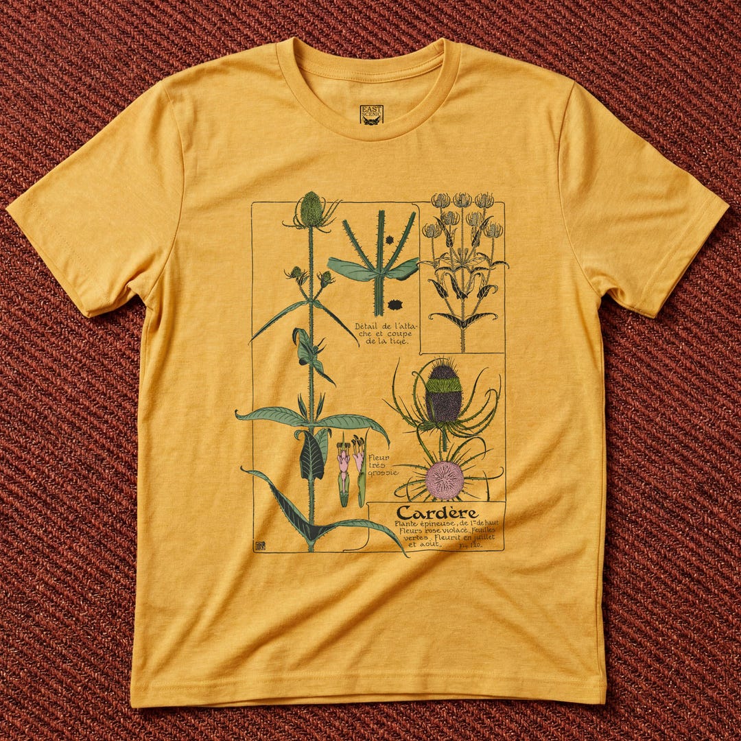 Wild Teasel Plant / Cardère T-shirt (maurice Pillard Verneuil ...
