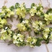 Orchid Flower Wedding Buttonhole, Orchid Boutonnière, Beach Wedding ...