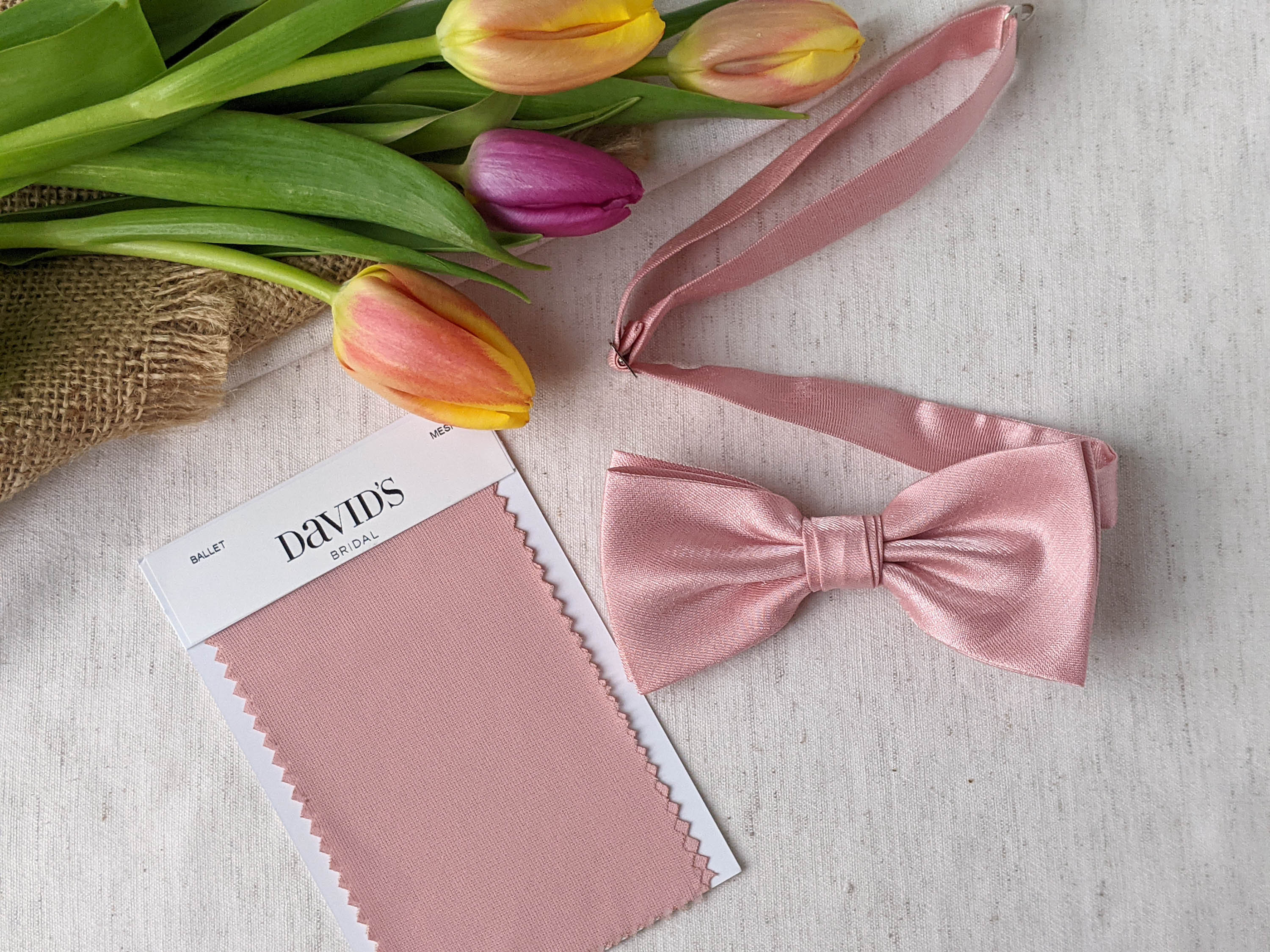David’s Bridal Ballet, Dusty Pink Silk Bow Tie, Groom & Groomsme ...