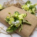Orchid Flower Wedding Buttonhole, Orchid Boutonnière, Beach Wedding ...