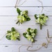 Orchid Flower Wedding Buttonhole Orchid Boutonnière Beach - Etsy