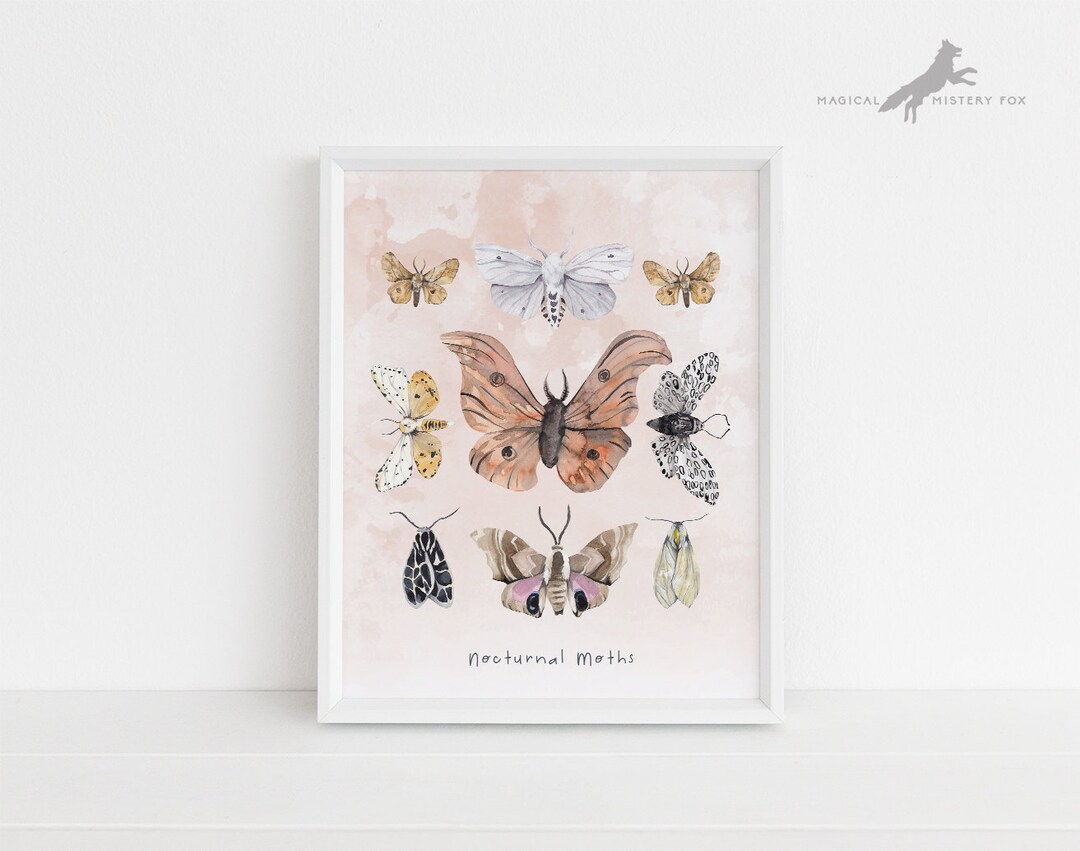Moths Print Digital Download Illustration, Watercolor Butterfly ...