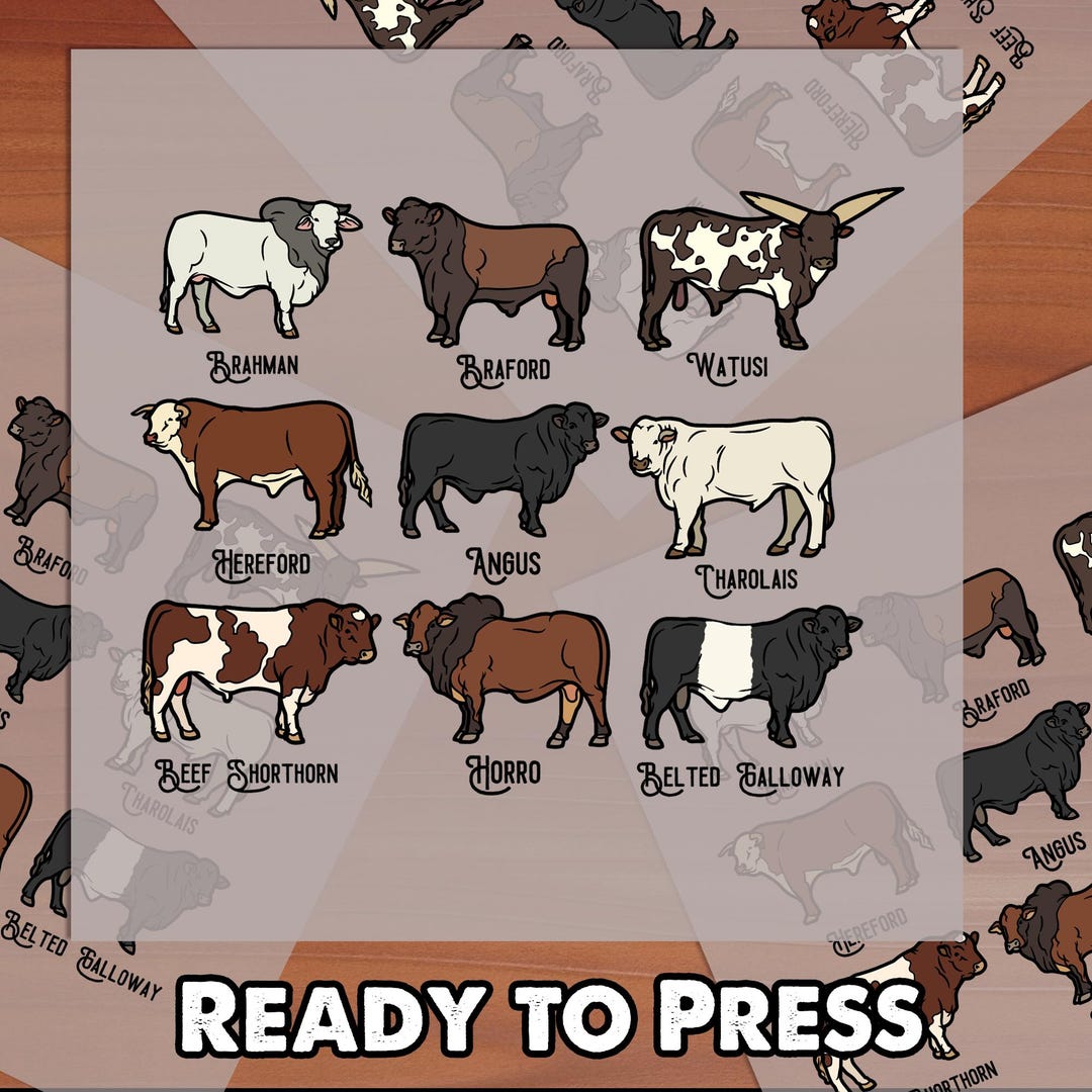 Cow Breeds DTF Transfer, Rustic Country Style Ready to Press DIY ...