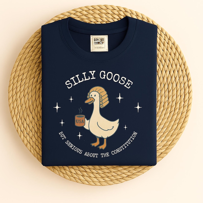 Silly Goose Constitution Shirt – Funny History Teacher Tee – Government ...