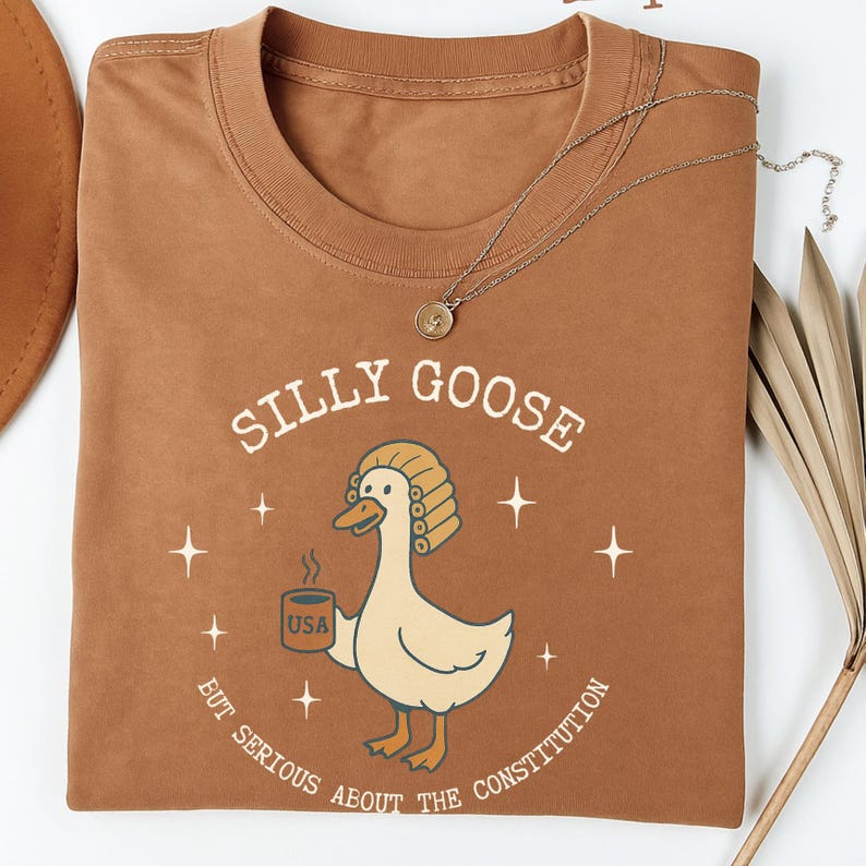 Silly Goose Constitution Shirt – Funny History Teacher Tee – Government ...