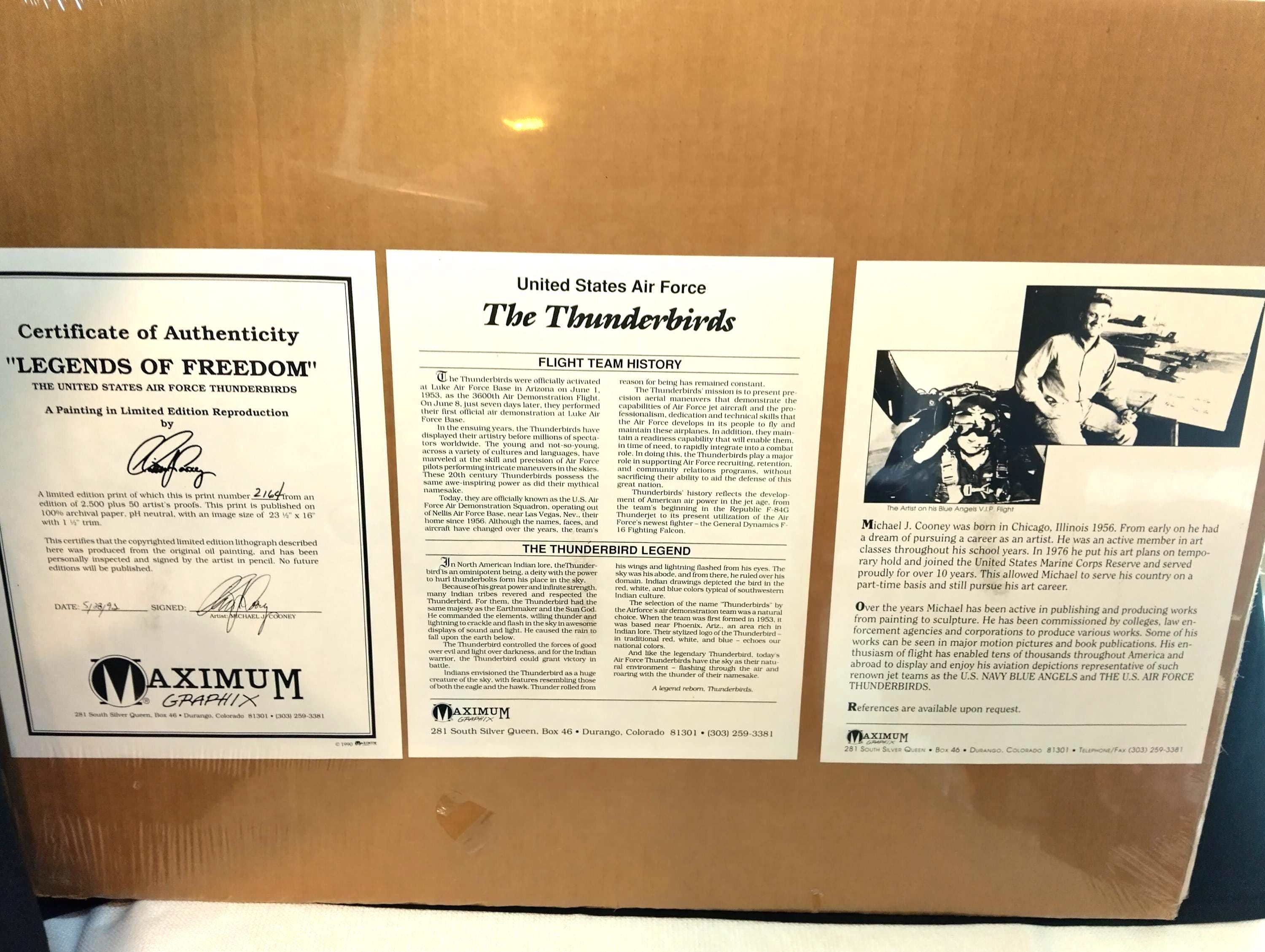 1990 Thunderbird's Print Signed Aviation Art USAF Mount Rushmore 27x20 ...
